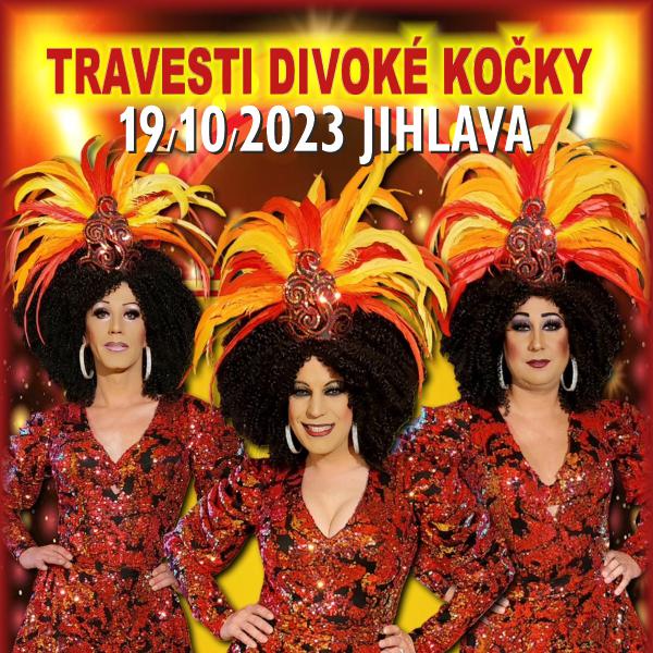 DIVOKÉ KOČKY travesti show - Předprodej vstupenek s iDNES.cz